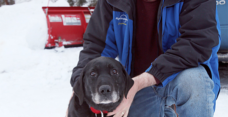 Slijepi pas labrador sam u divljini Aljaske izdržao dva tjedna!